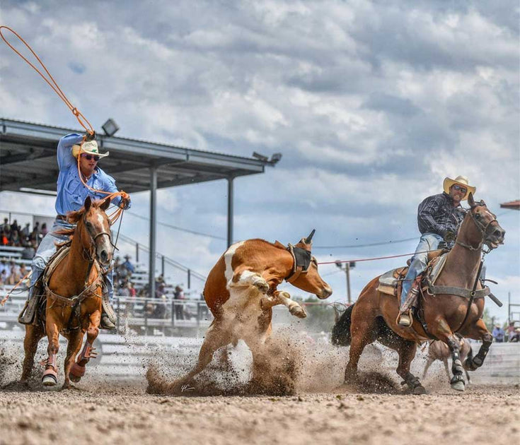 Breathable, Durable, Stretchable Roping Gloves-Pack Of 5 – Bear Knuckles